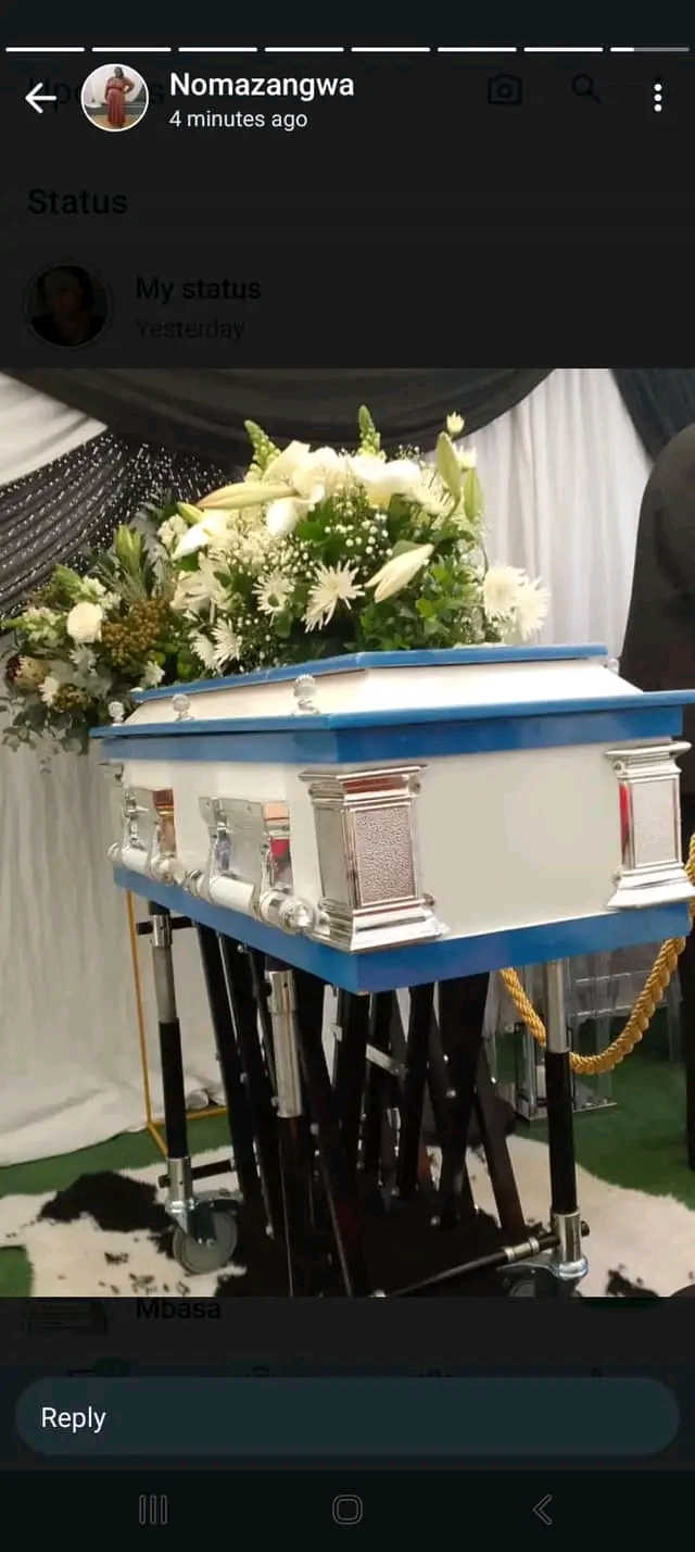 The Tragic Passing of 3-Year-Old Onika Nkone: A Heartbreaking Farewell ...