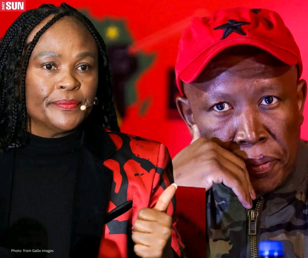 Advocate Busisiwe Mkhwebane Resigns from EFF and Parliament - Latest News