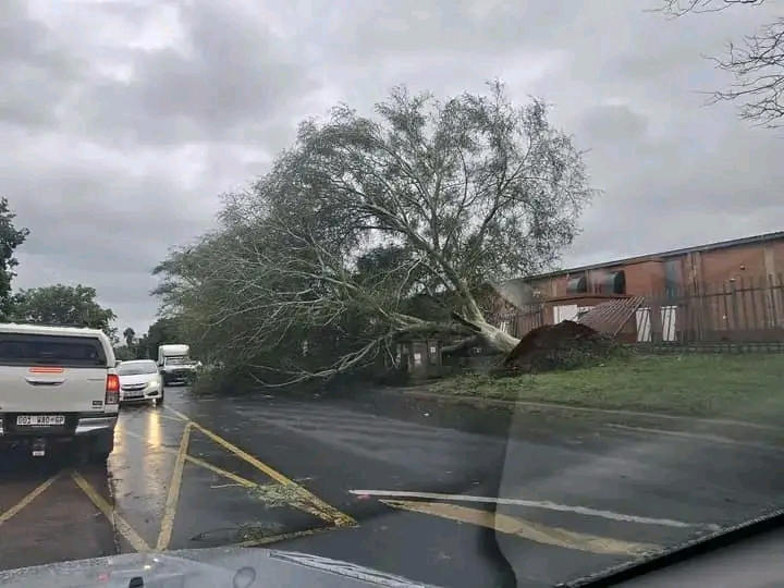 Pretoria Tornado Leaves Trail of Destruction, Sparks Online Jokes ...