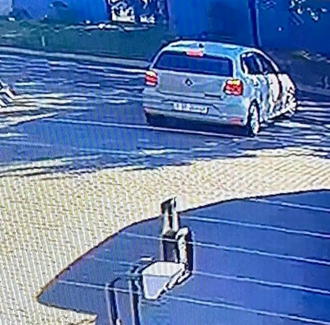 Tragedy in Lombardy West: Body of Missing Woman Discovered - Latest News
