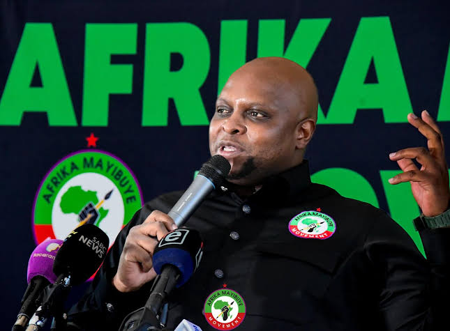 Floyd Shivambu Launches Mayibuye Afrika Movement, Sets Sights on 2026 ...