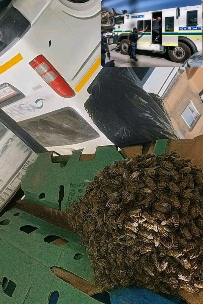 Real Housewives of Durban’s Slee Ndlovu Finds Love Again with ...