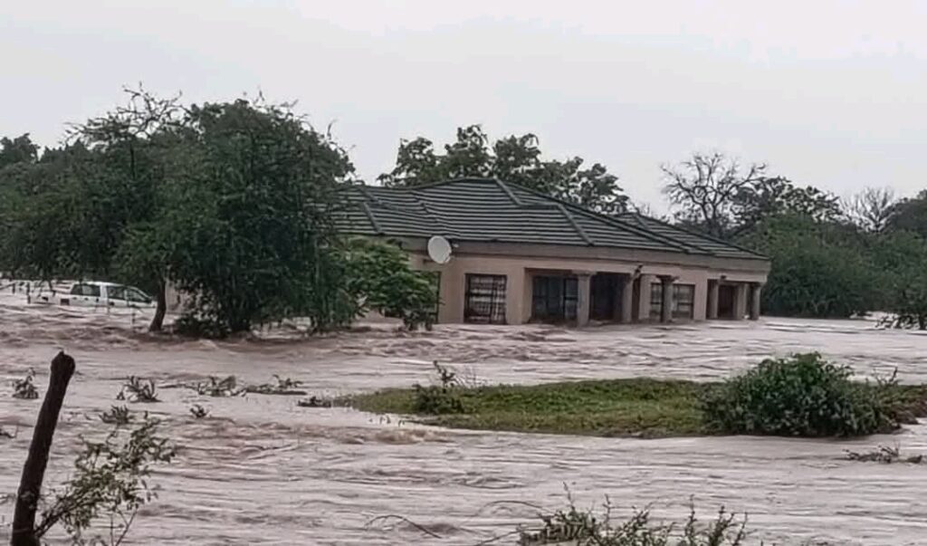 King Misuzulu Introduces Future Queen Sihle Mdhluli in Surprise ...