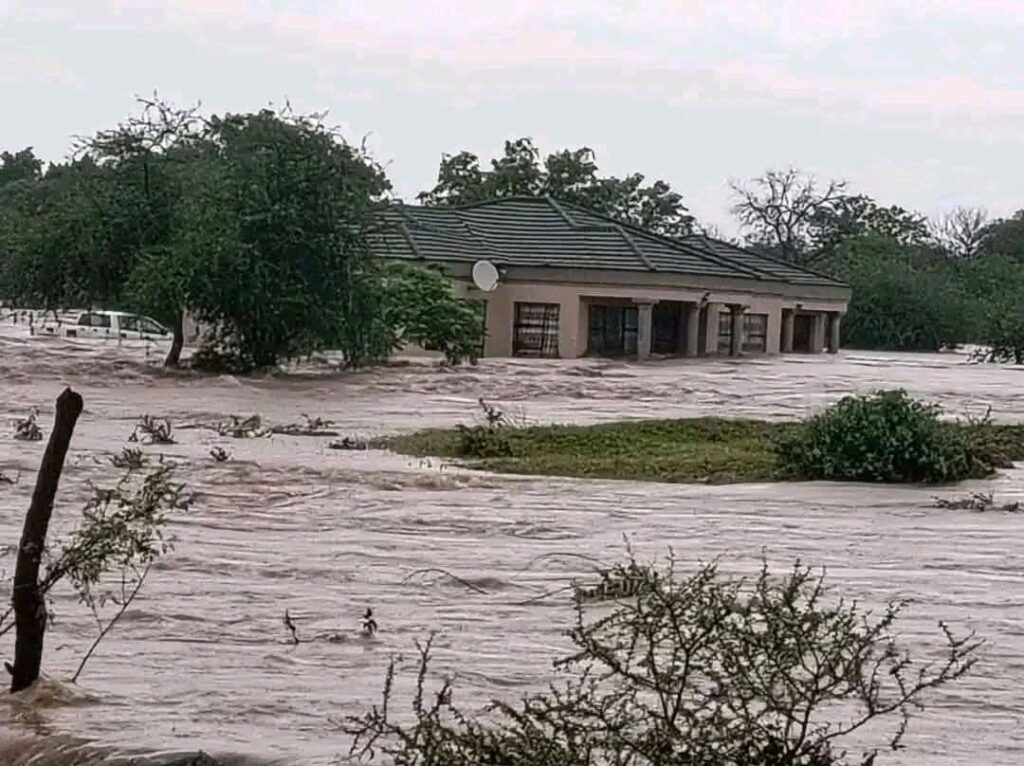 Floods Claim 37 Lives Across Mpumalanga and Limpopo as Communities Reel ...