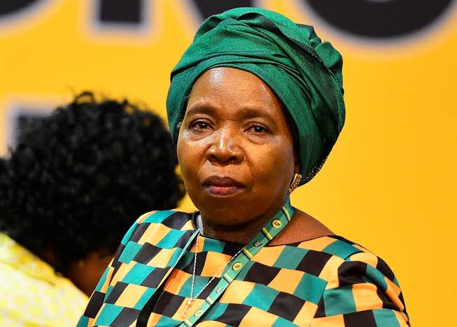 Dlamini-Zuma Says Deportations Will Not Solve South Africa’s ...