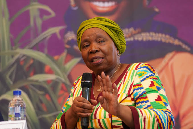 Dlamini-Zuma Says Deportations Will Not Solve South Africa’s ...